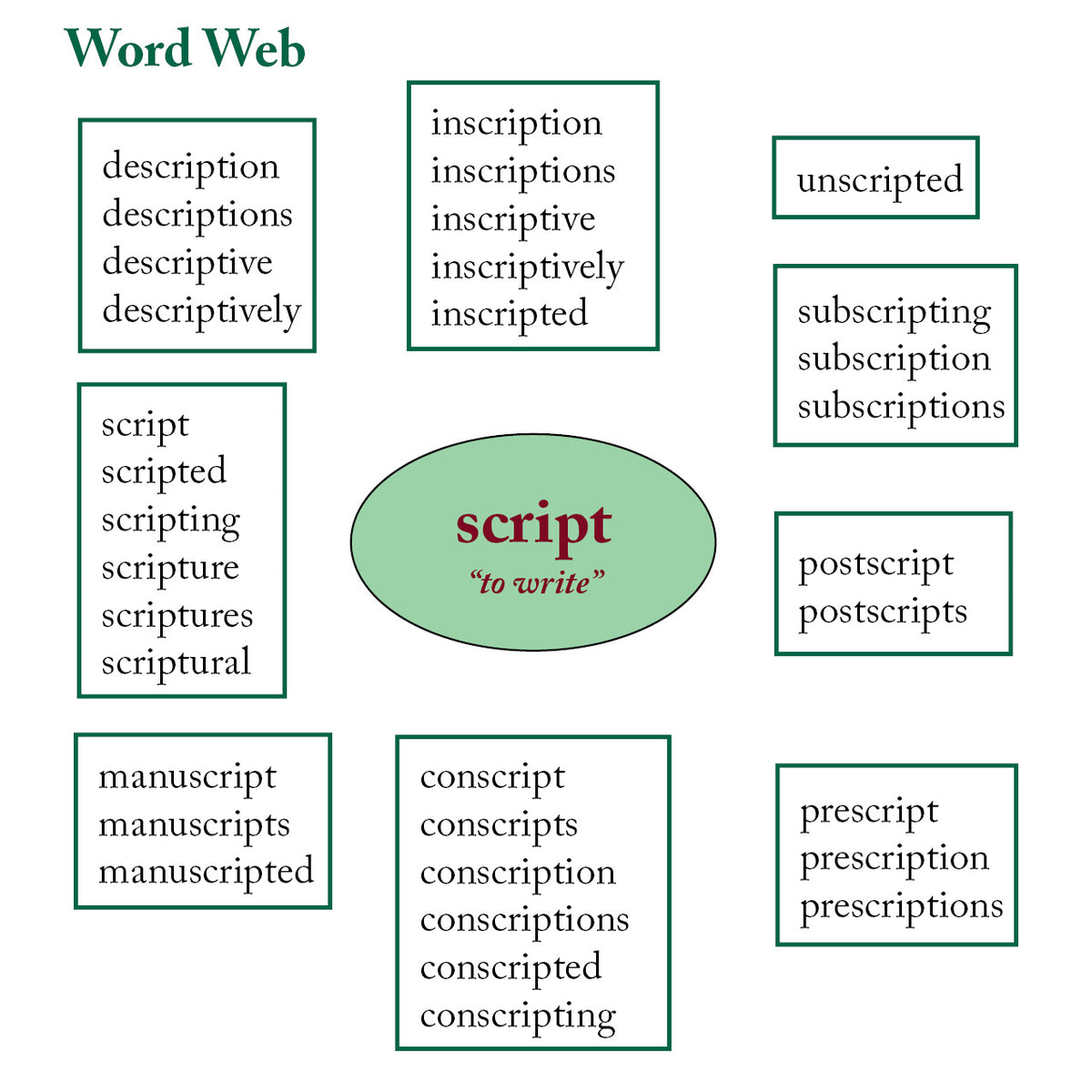 Word Study Packet—Spelling and Vocabulary—Rooted in Language