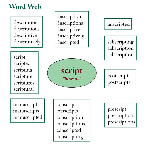 Word Study Packet—Spelling and Vocabulary—Rooted in Language