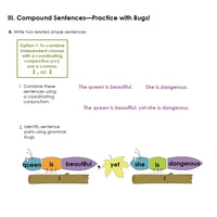 Grammar Bugs – Rooted in Language